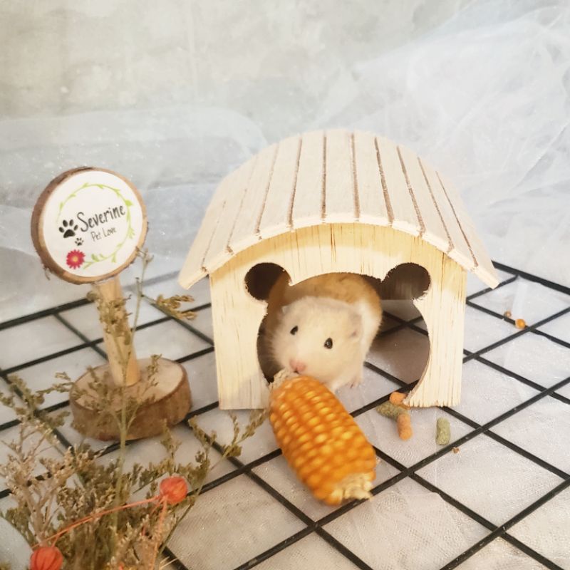 Jual Rumah hamster | hamster Hideout bentuk mickey | rumah rumahan ...