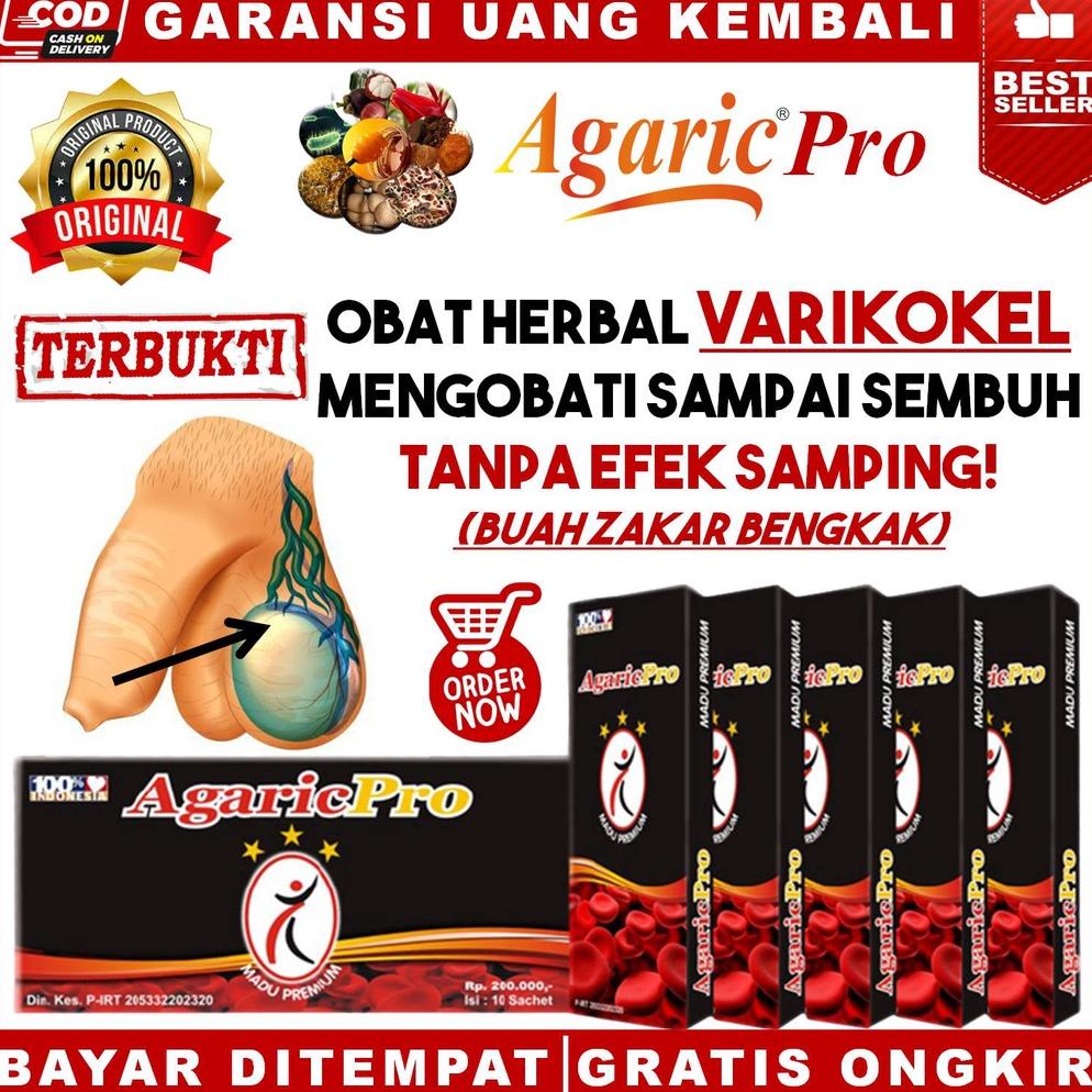 Jual PRODUK- OBAT VARIKOKEL BUAH ZAKAR BENGKAK, OBAT HIDROKEL TESTIS ...