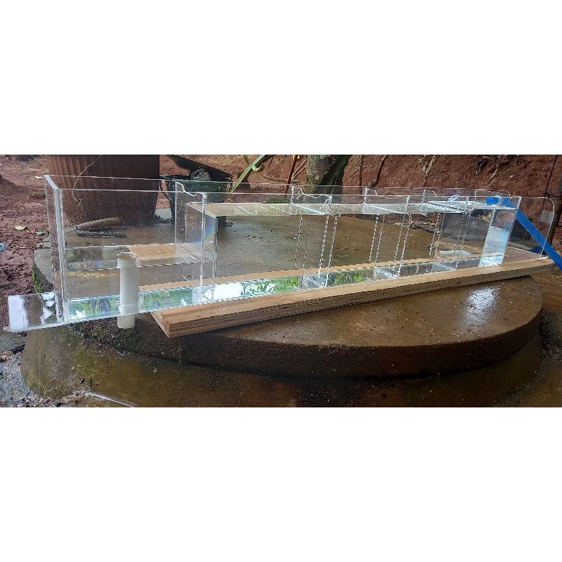 Jual Talang filter akrilik/Filter aquarium tanpa kuras P70,P100,P150 ...