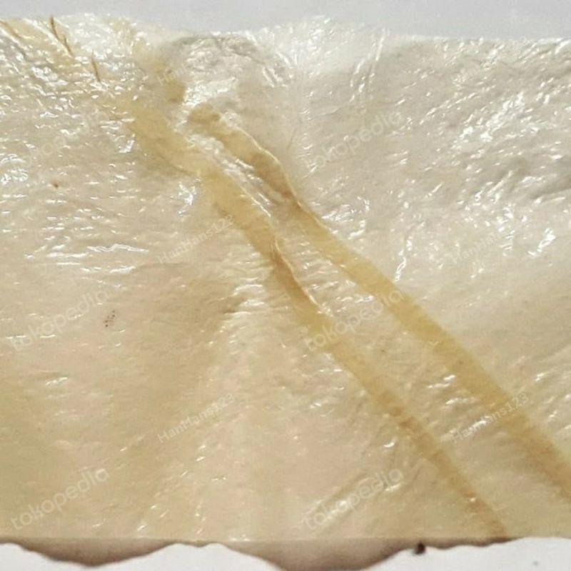 Jual Kulit Kembang Tahu 100 lembar | Shopee Indonesia