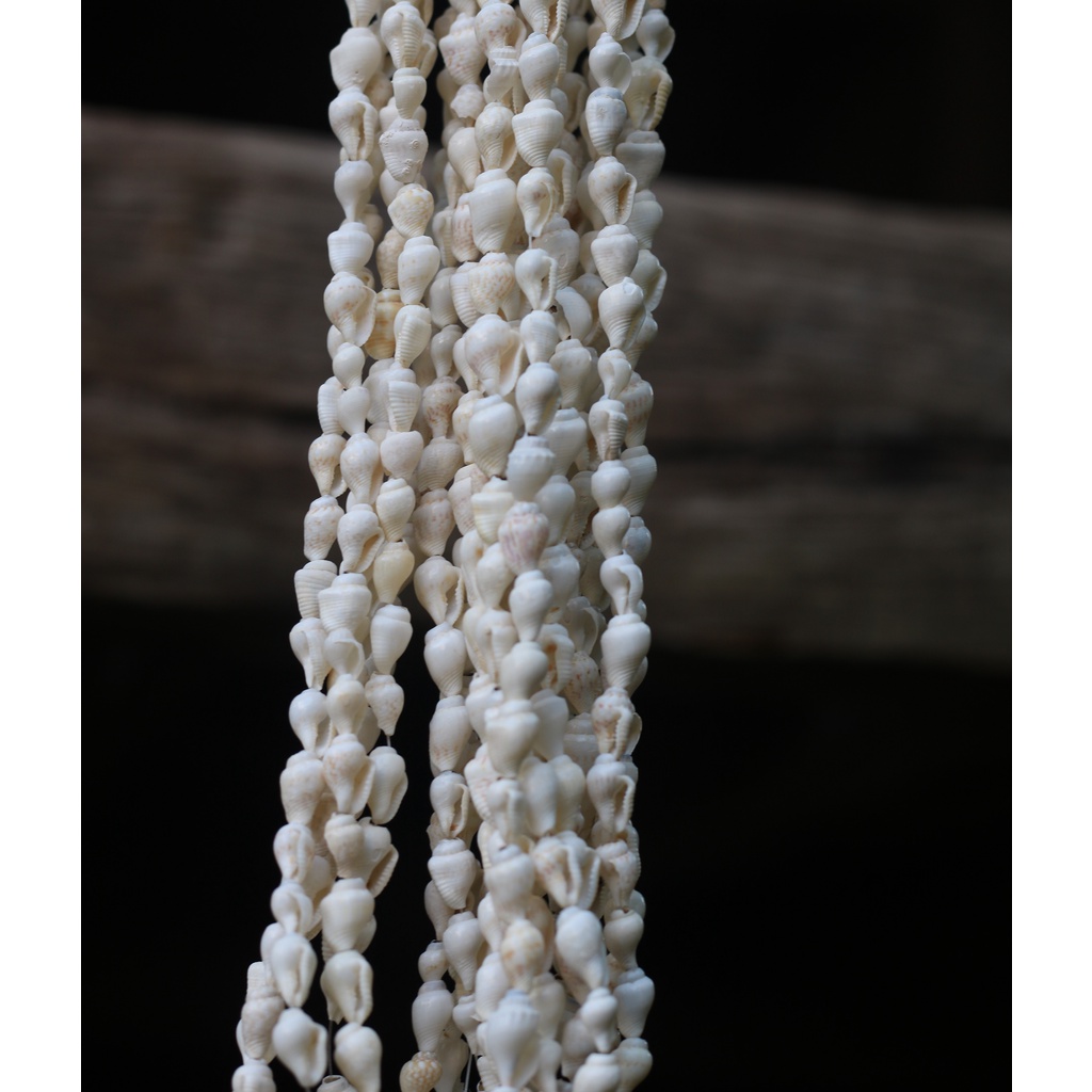 Jual Tirai kerang putih - kerang kerajinan - gorden kerang kerang asli ...