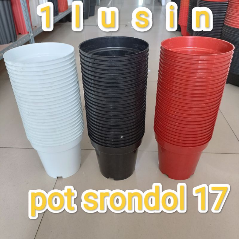 Jual pot tinggi srondol 17 1 lusin / 12 pcs | Shopee Indonesia