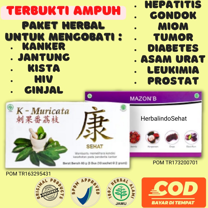 Jual Obat Herbal Terapi Infeksi Paru Paru Kronis - TBC Asma Ispa ...