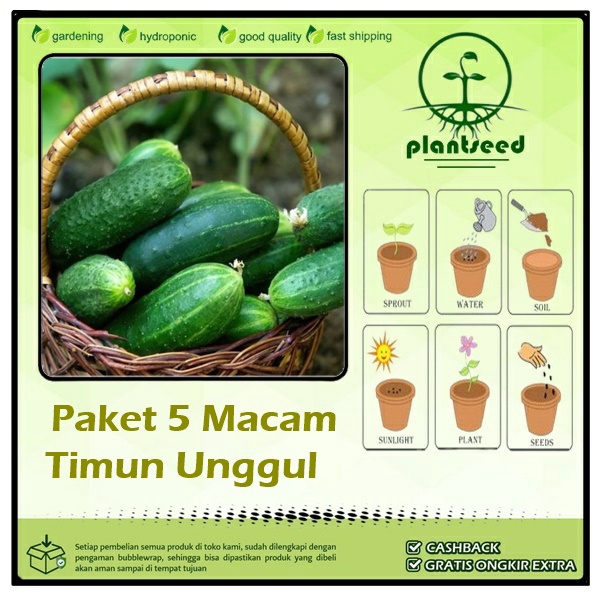 Jual Paket 5 Macam Bibit Sayuran Timun Mentimun Unggul | Shopee Indonesia