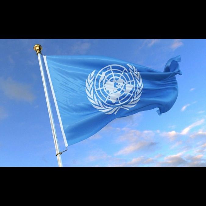 Jual Bendera PBB / United Nations flag | Shopee Indonesia