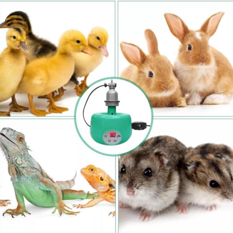 Jual Kipas pemanas otomatis blower penghangat kandang ayam lampu ...