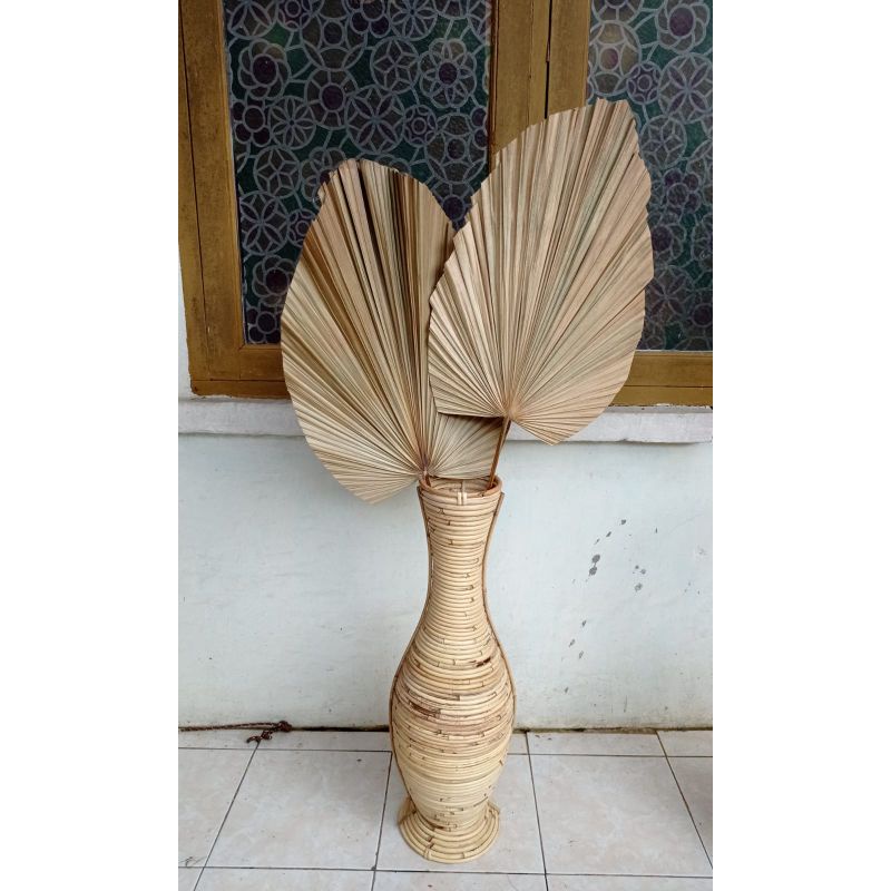 Jual bunga palem kering Sedang (M) | Shopee Indonesia