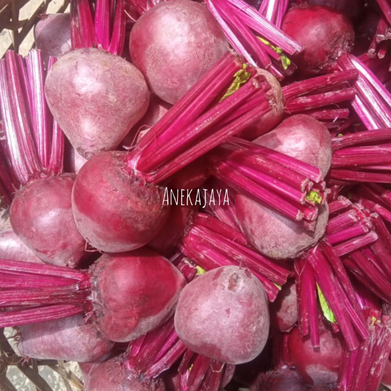 Jual Buah Bit Fresh Kualitas Terbaik 1kg | Shopee Indonesia