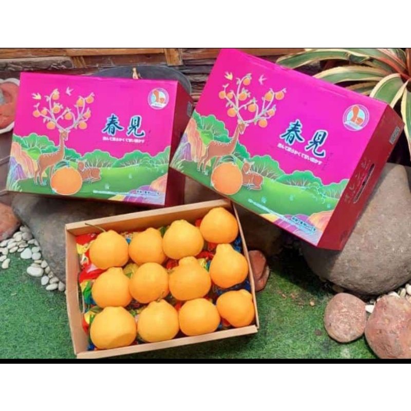 Jual Gift Pack Jeruk Dekopon Kemasan Gift Pack | Shopee Indonesia