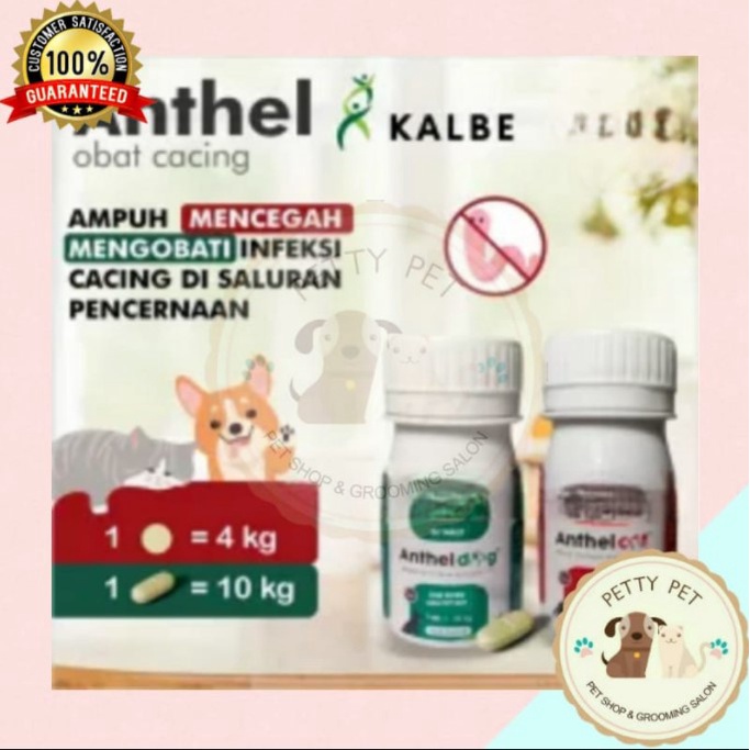 Jual Obat Cacing Anjing Kucing Kalbe Anthel Dog Anthel Cat per tablet ...