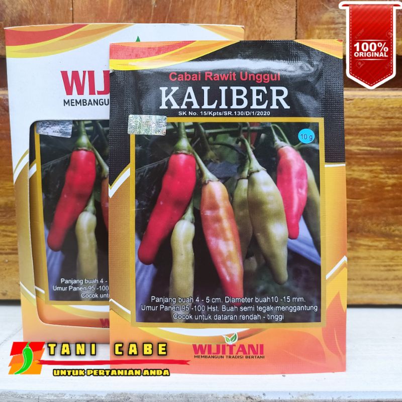 Jual KALIBER BENIH CABAI RAWIT -10 GRM(original kemasan pabrik ...