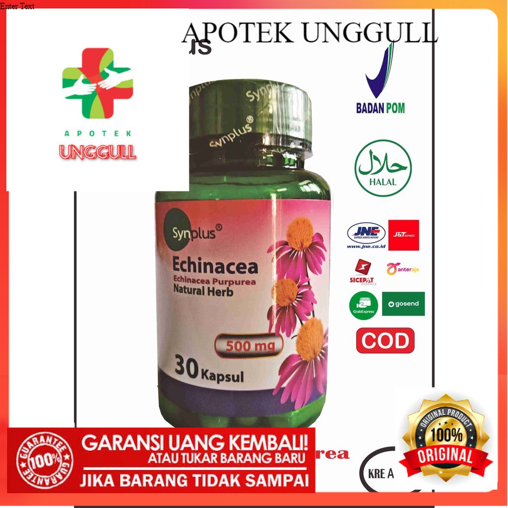 Jual 100% ORIGINAL SYNPLUS ECHINACEA PURPUREA 500 MG UNTUK PERAWATAN ...