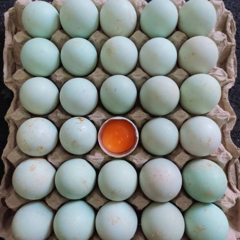 Jual Telur Bebek Omega3 per butir | Shopee Indonesia