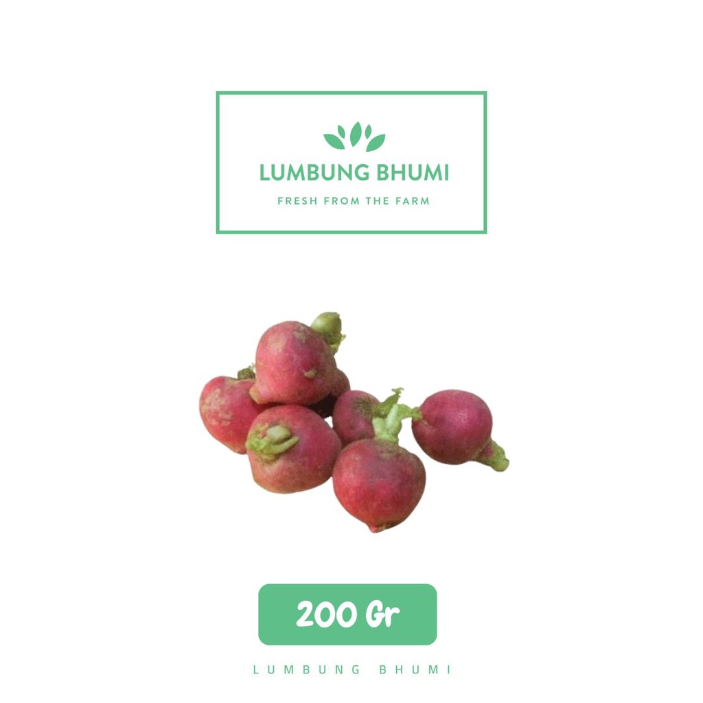 Jual Lumbung Bhumi - BABY Radish Lobak Merah 200 Gr ( Sayur Curah ...