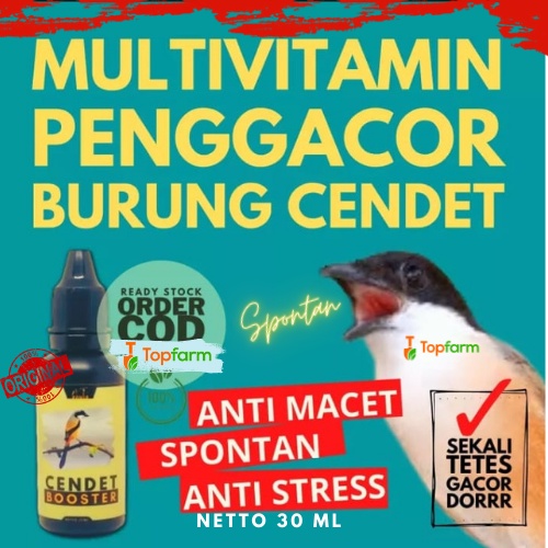 Jual Vitamin Penggacor Cendet 30ml / Doping Buat Burung Cendet / Obat ...