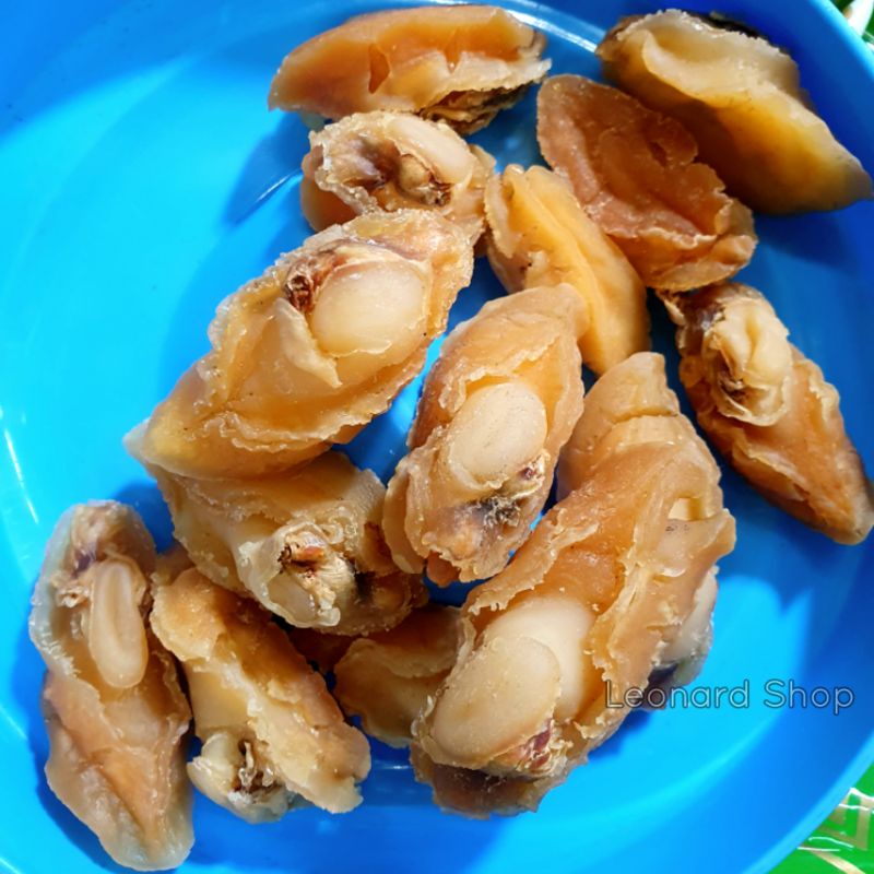 Jual ABALON IMPORT KERING KUALITAS SUPER SIZE XXL 100GM / ABALONE BAO ...