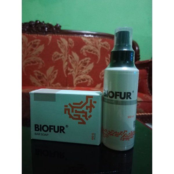 Jual Biofur Sabun Batang Dan Cair Original Acne&Oily Skin [Kemasan Baru ...