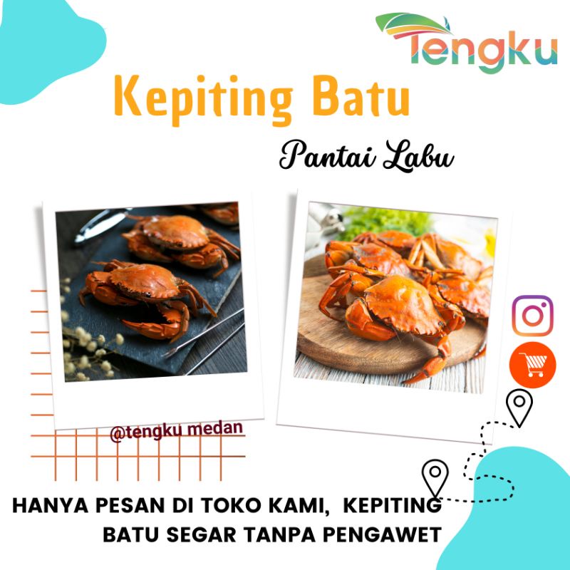 Jual Kepiting Batu Pantai Labu 1 Kg | Shopee Indonesia
