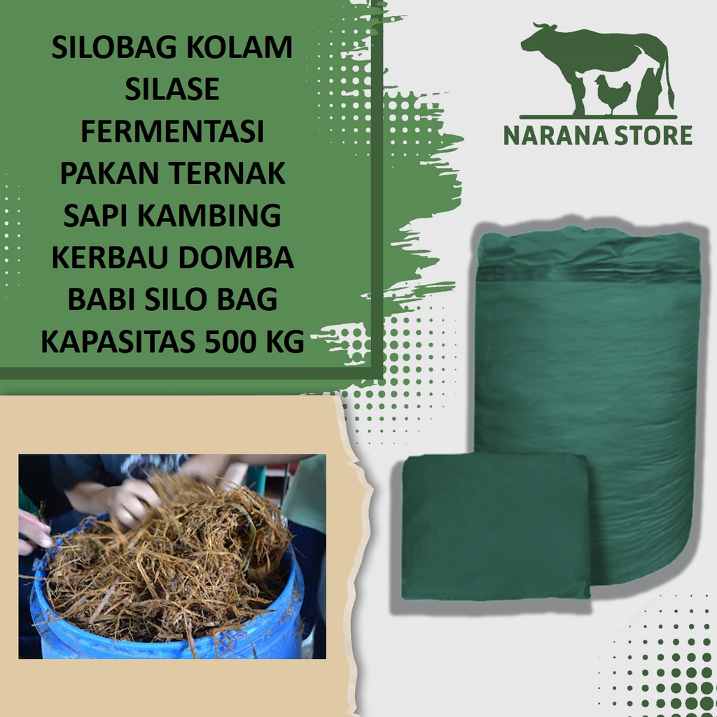 Jual Silobag Kolam Silase Fermentasi Pakan Ternak Sapi Kambing Kerbau ...