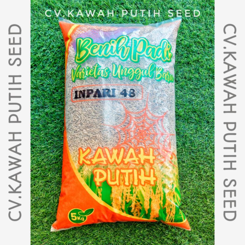 Jual Benih Padi Inpari 48 5kg Bersertifikat Label Ungu Kawah Putih Seed ...