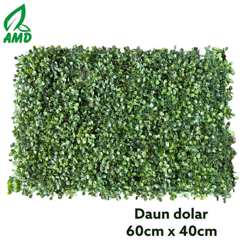 Jual Rumput daun dolar vertical garden kualitas premium | Shopee Indonesia