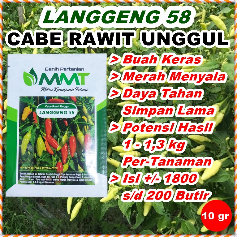Jual Benih Cabe Rawit Langgeng 58 10 Gram Bibit Cabai Unggul MMT ...