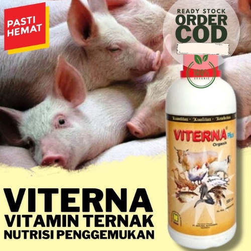 Jual Vitamin Babi Cepat Besar / Vitamin Babi Biar Cepat Besar / Vitamin ...