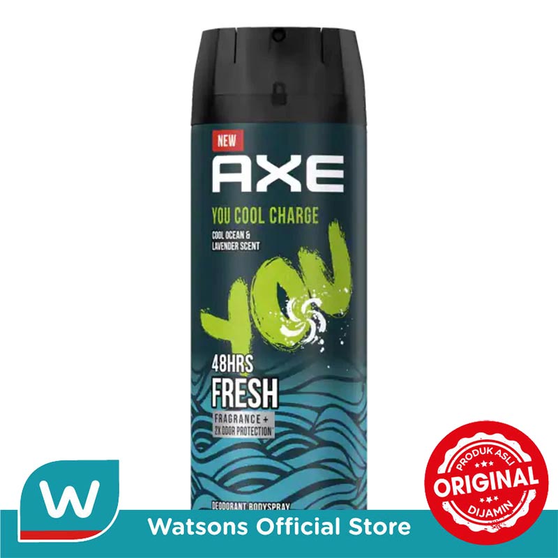 Jual AXE Deodorant Body Spray You Cool Charge 135 ml | Shopee Indonesia
