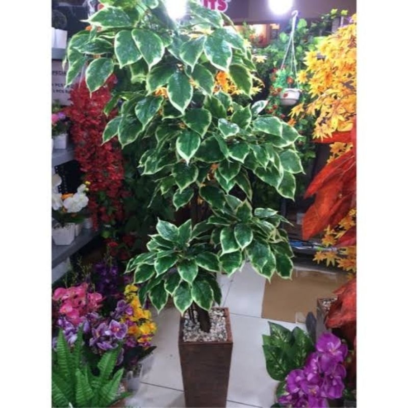 Jual PROMO POHON HIAS BONSAY 150CM CABANG 4/ SUDUT RUANG TAMU POJOK ...