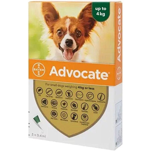 Jual advocate dog