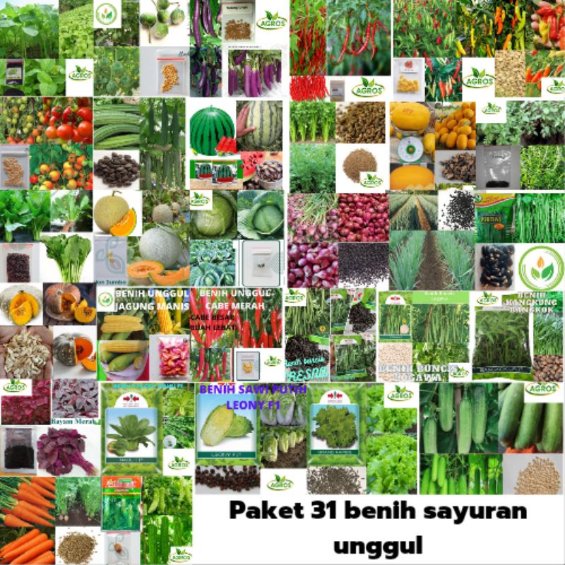 Jual PAKET 31 JENIS BENIH SAYURAN UNGGUL | Shopee Indonesia