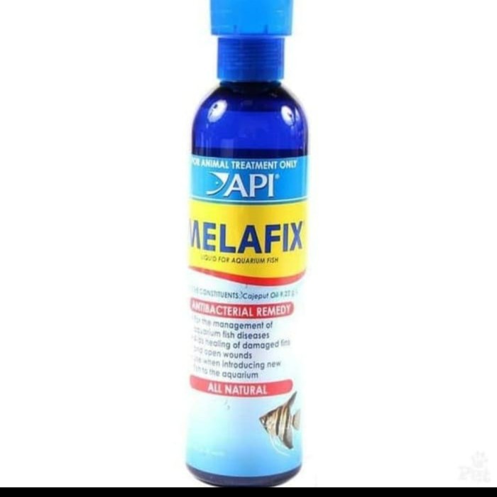 Jual API Melafix bacteria infections 473ml | Shopee Indonesia