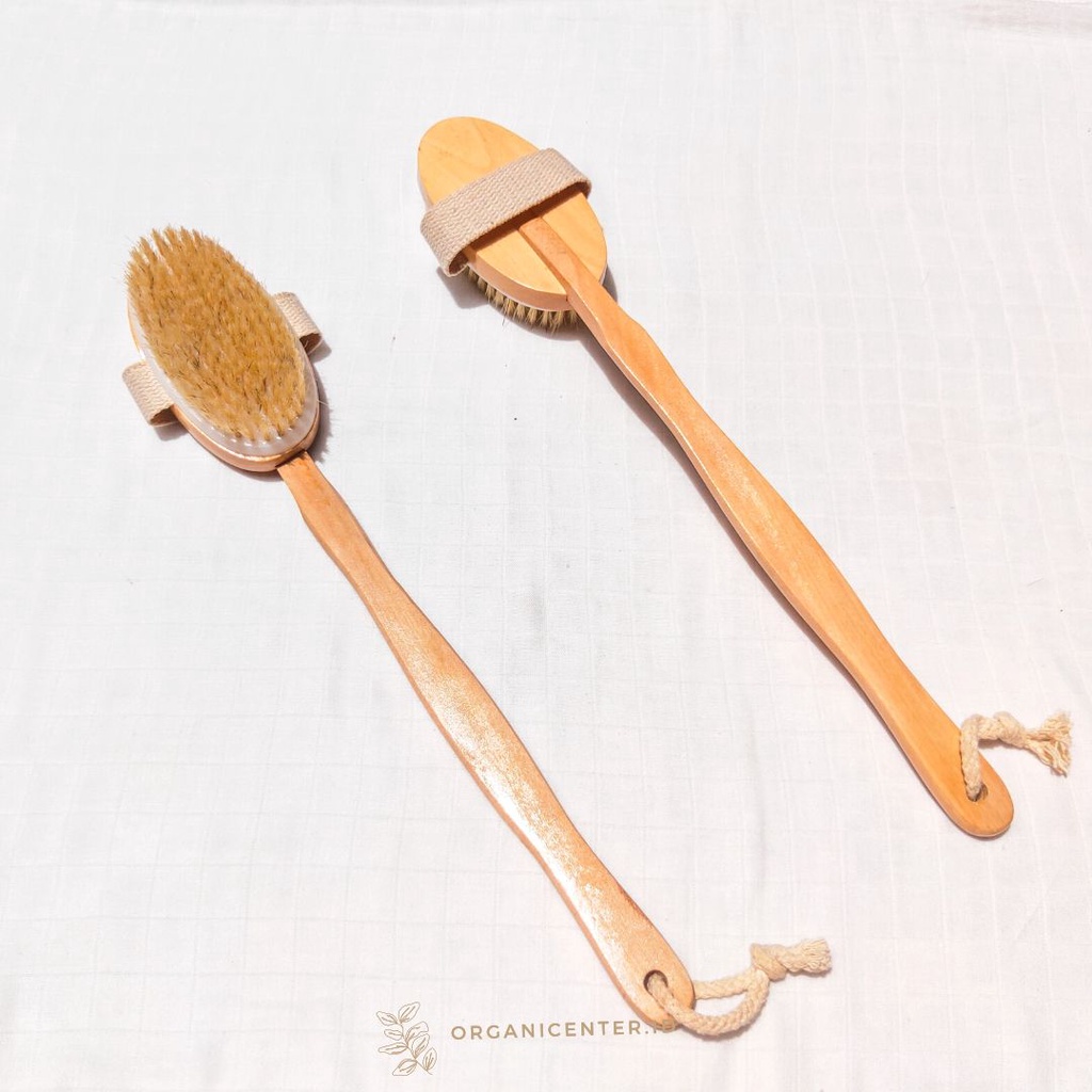 Jual Sikat Punggung Bambu Natural Bristle Bamboo Back Brush Oval Head ...
