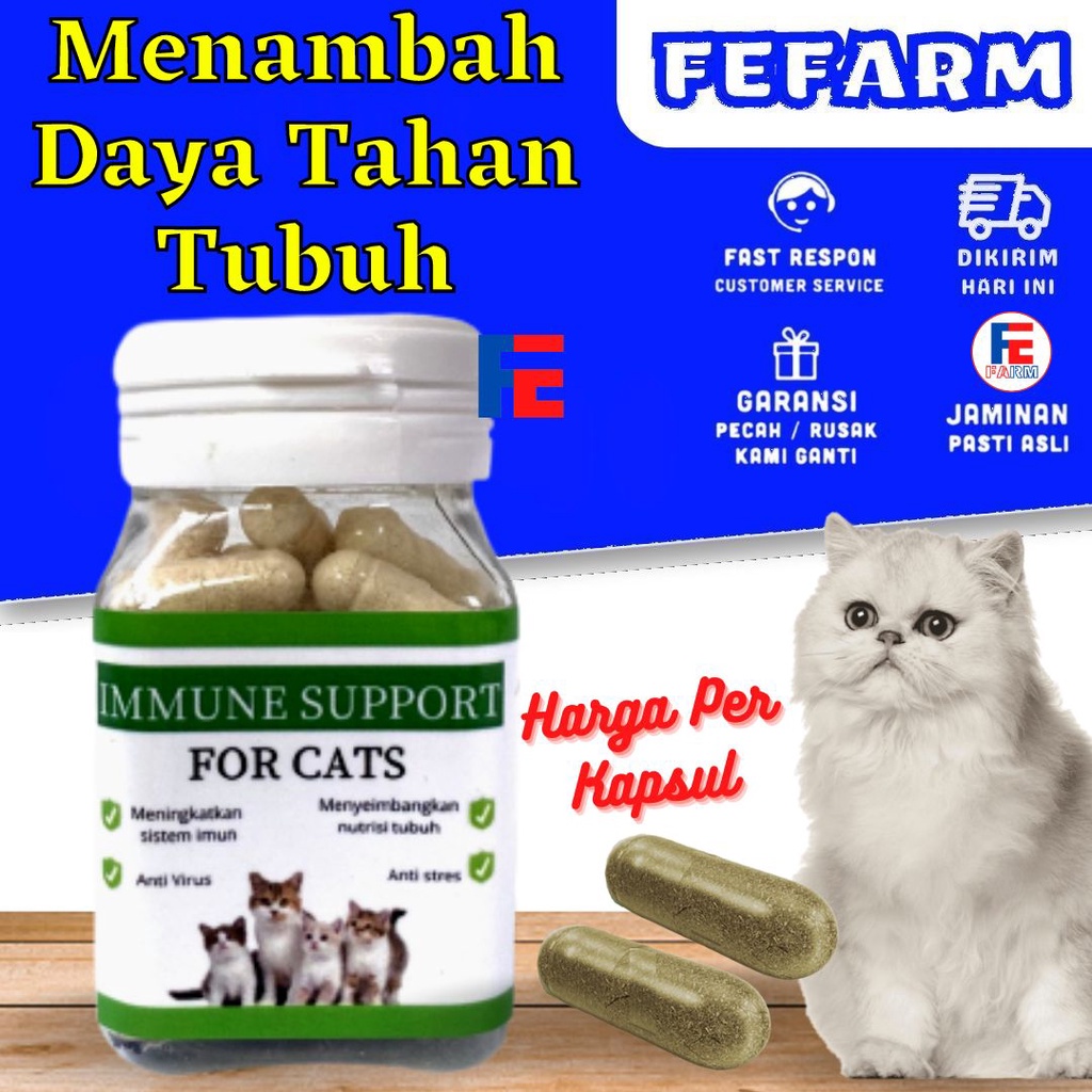 Jual Immune Support Capsules For Cats Suplemen Daya Tahan Tubuh Kucing ...