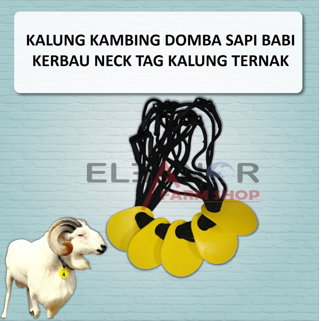 Jual Kalung Kambing Domba Sapi Babi Kerbau Neck Tag Kalung Ternak ...