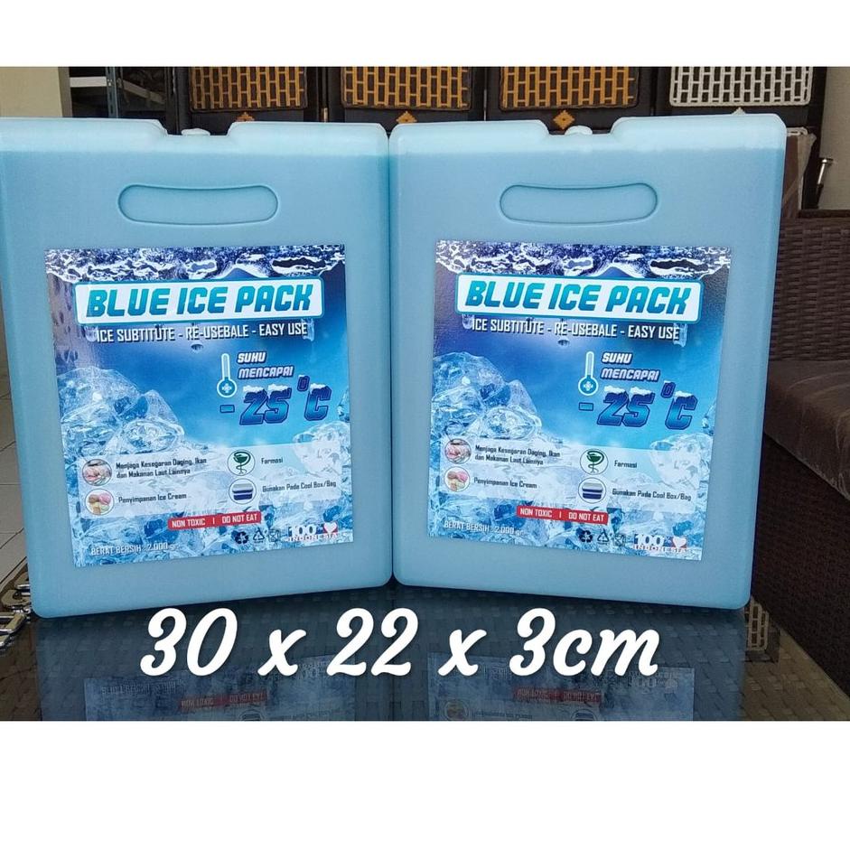 Jual Bonus Bubble Ice Pack Besar Blue Ice Pack 30x22x3cm | Shopee Indonesia