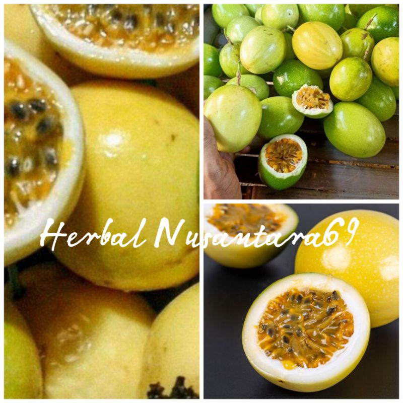 Jual Termurah 1kg Buah Markisa Kuning Fres Segar | Shopee Indonesia