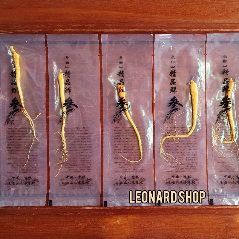 Jual Ginseng King Liar Asli Segar Import Berkualitas Bahan Dasar Soup ...