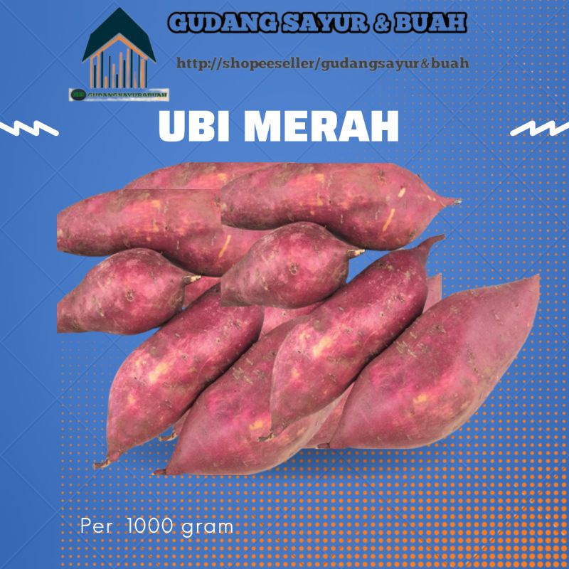 Jual UBI MERAH MENTAH 1 KG | Shopee Indonesia