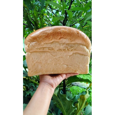 Jual PREMIUM Roti Tawar Open Top / Roti Tawar Toast ala J*wa / Roti ...