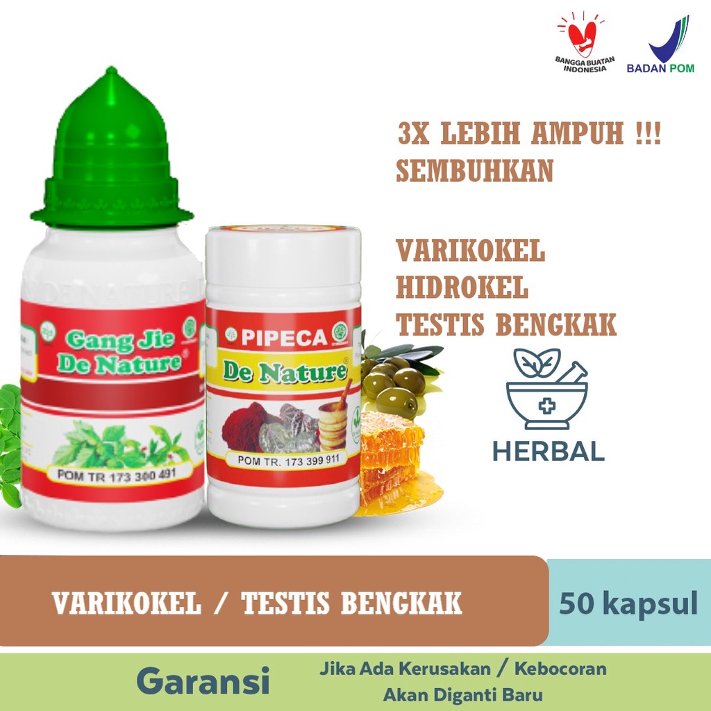 Jual Obat Varikokel Verikokel Hidrokel di Buah Zakar Testis Bengkak ...