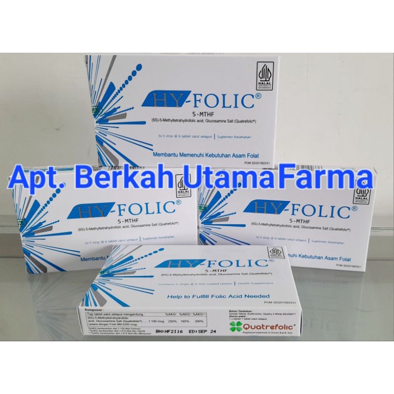 Jual Hy Folic Original / Hyfolic Box Isi 30 Tablet | Shopee Indonesia