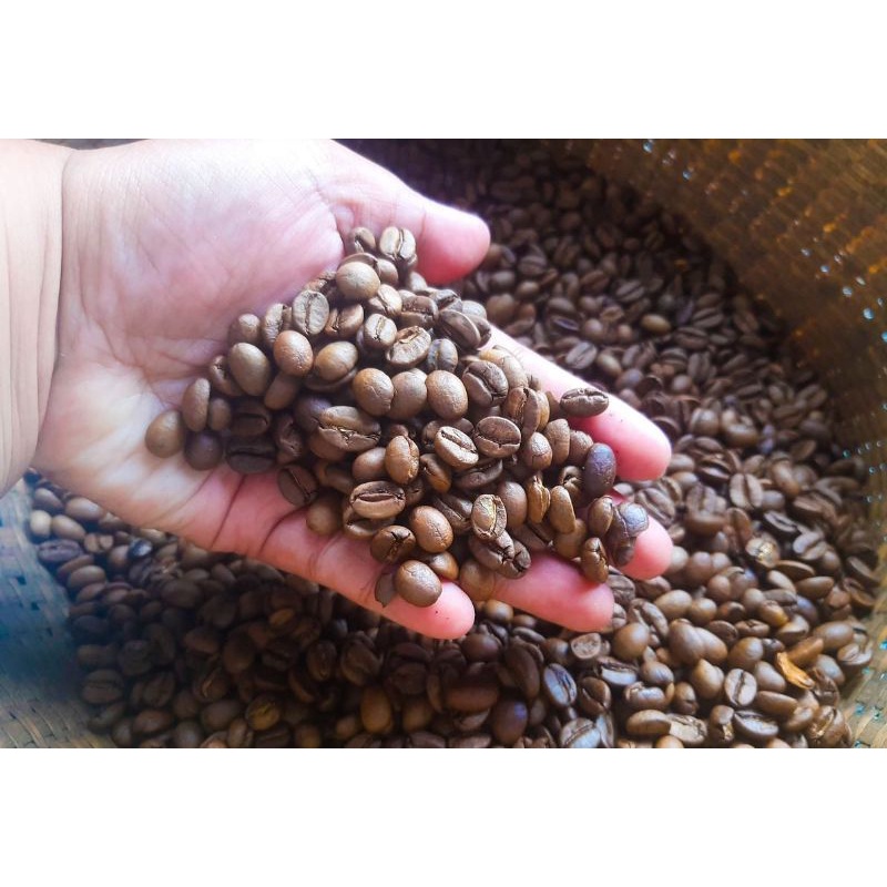 Jual Kopi Arabika Sembalun Premium 1 kg | Shopee Indonesia