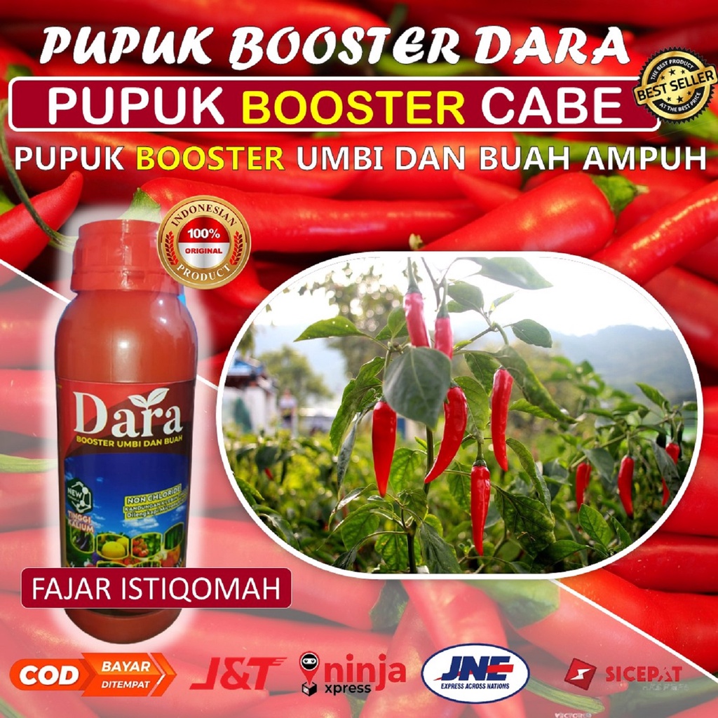 Jual pupuk tanaman manjur DARA 500 ML, pupuk booster umbi dan buah pada ...