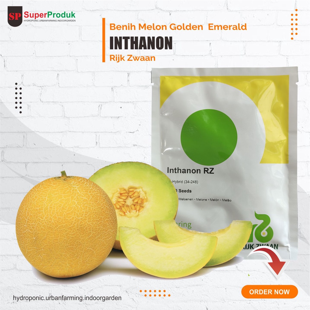 Jual Benih Melon Inthanon Rijk Zwaan | Shopee Indonesia