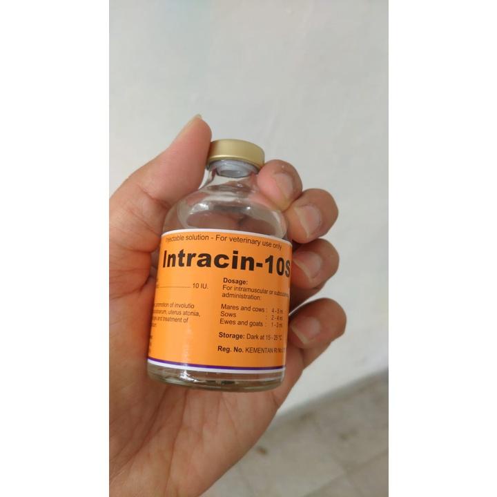 Jual INTRACIN 10S 50ml - Hormon Perangsang Kontraksi Uterus Kelenjar Susu Hewan Best Seller ...