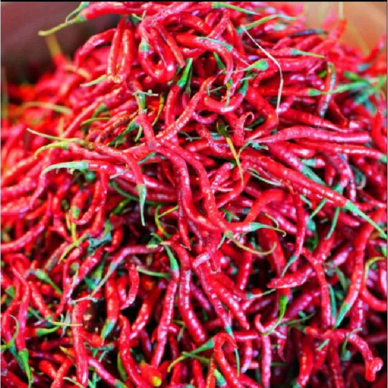 Jual Cabai keriting merah per 1kg | Shopee Indonesia