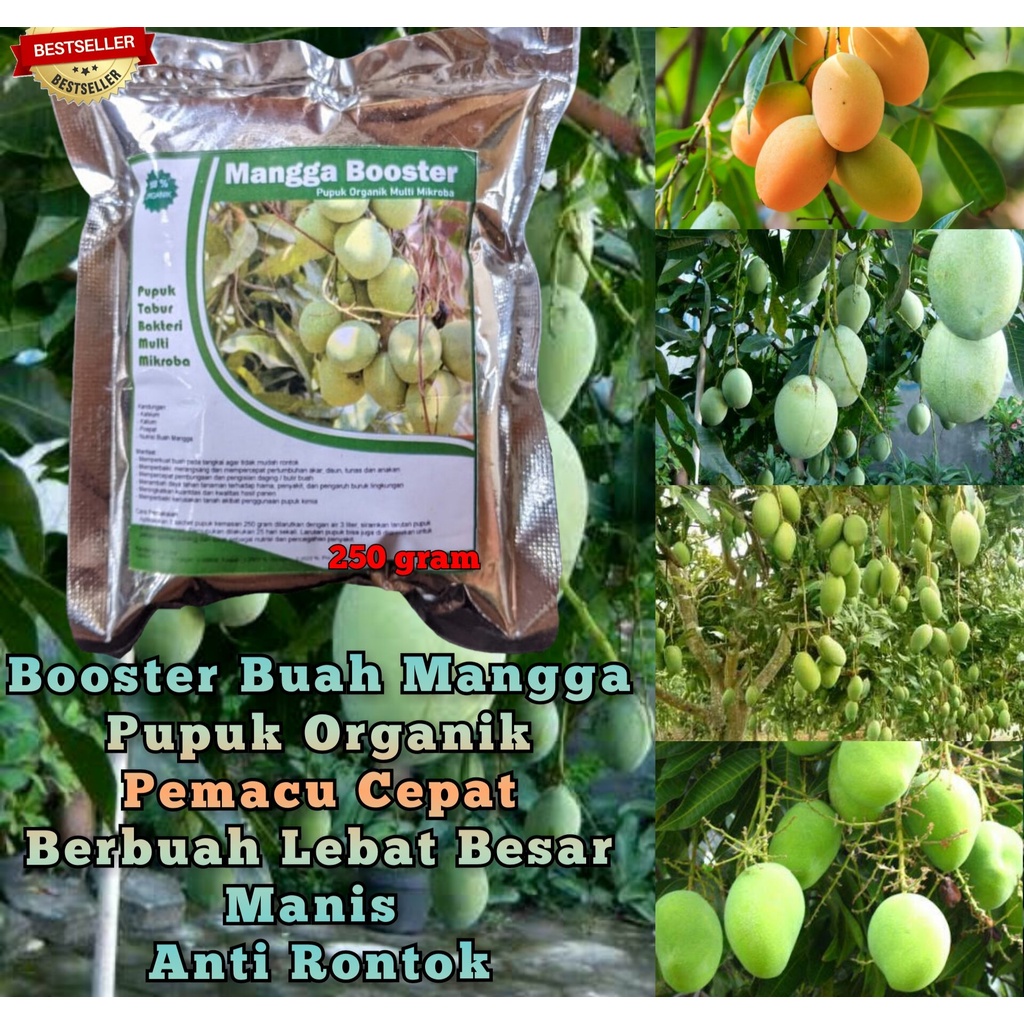 Jual Pupuk Organik Booster Mangga,Pupuk Nutrisi dan Perangsang Serbuk Agar Cepat Berbuah Lebat ...