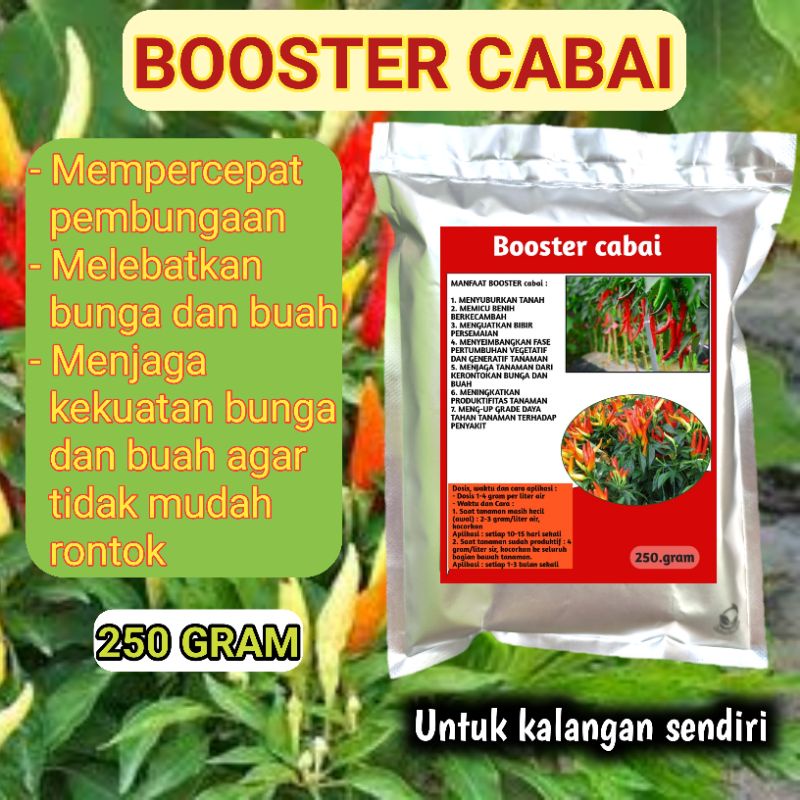 Jual Pupuk booster cabai 250 gram perangsang bunga dan buah melebatkan dan mempercepat ...