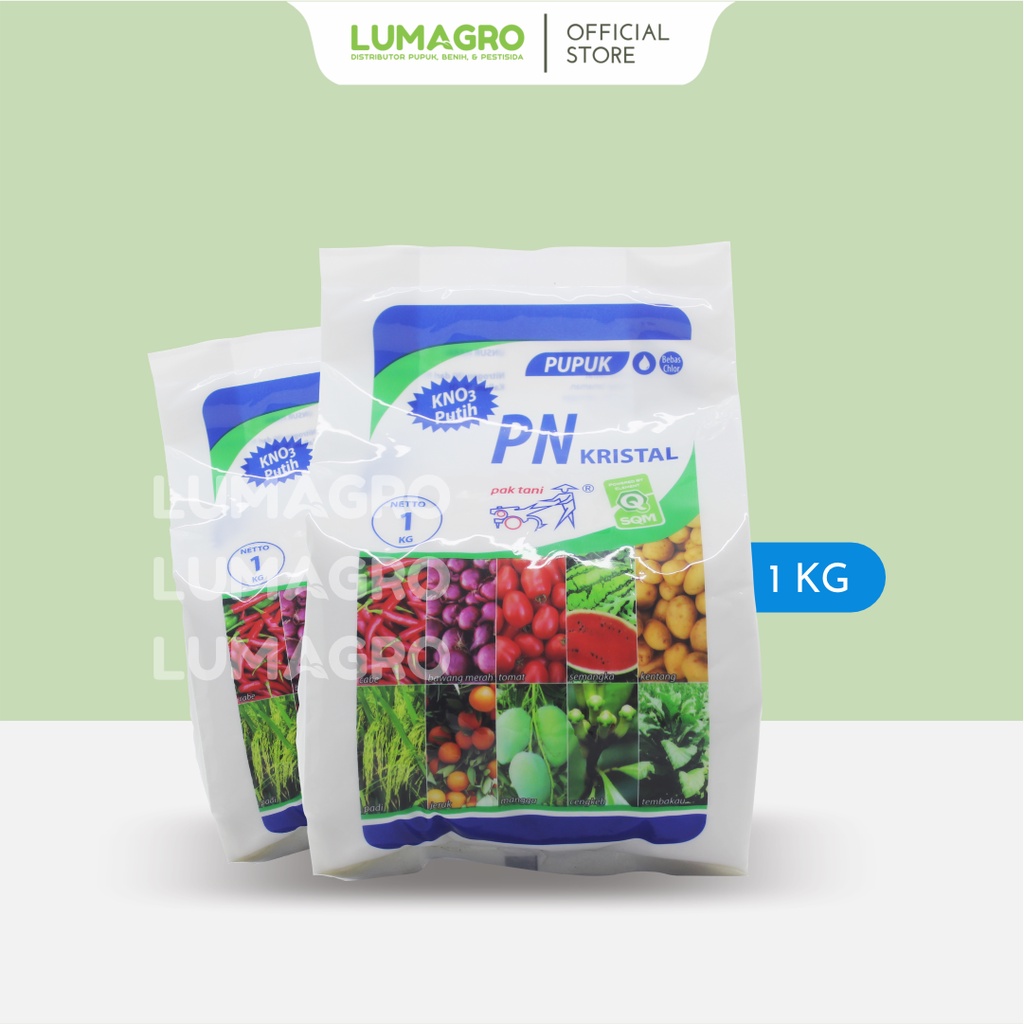 Jual Pupuk KNO3 Putih PN Kristal 1kg Pak Tani Penunjang Pertumbuhan ...